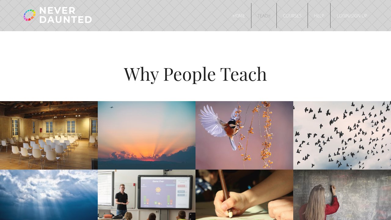 Learn From Our Excellent Teachers | Never Daunted